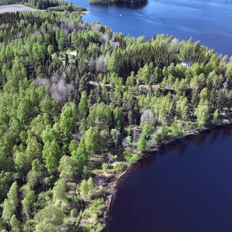 Myydään rantatontti 2 kpl ja metsätila Pirkanmaa Ikaalinen Kyrösjärvi ...